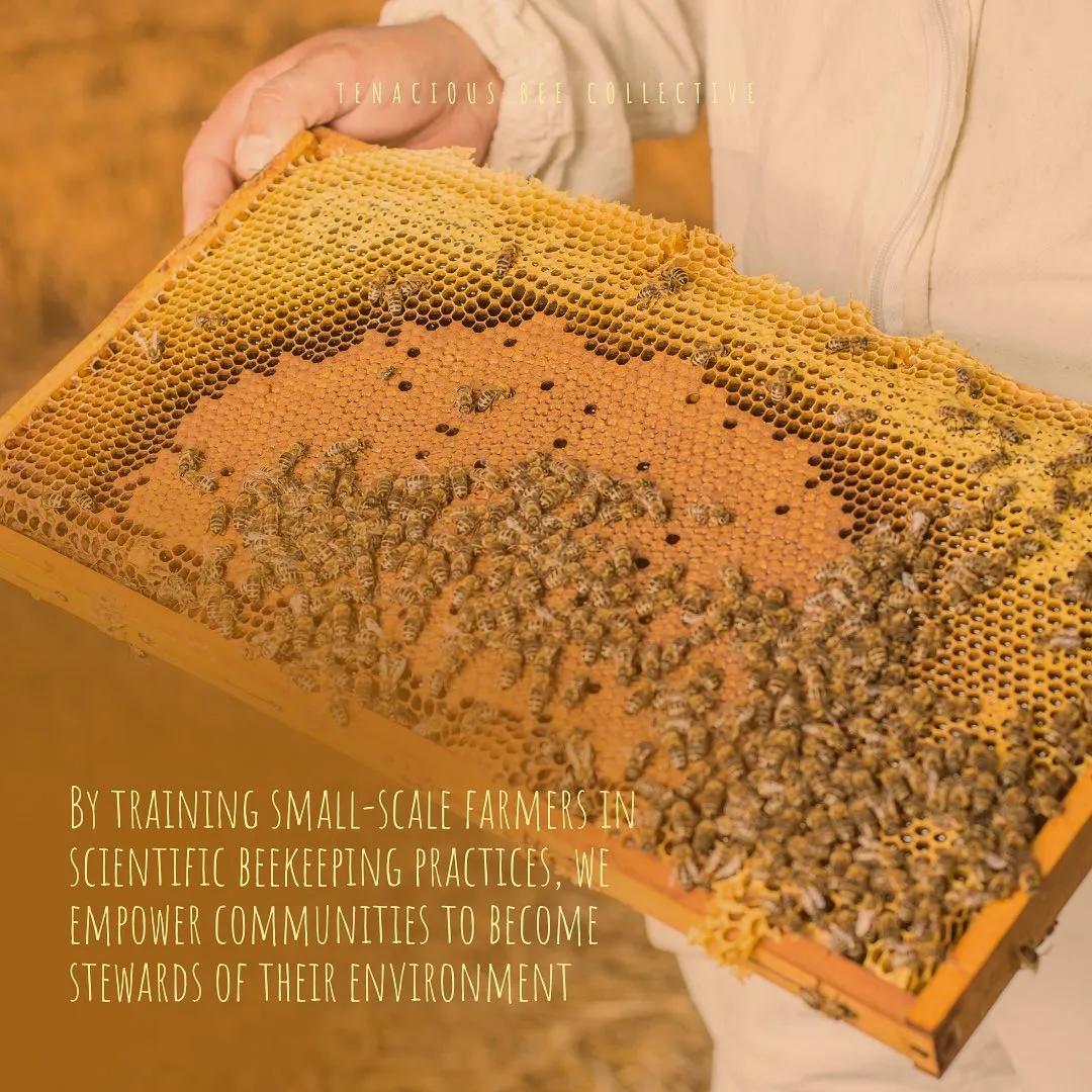 FabFamily - Fabindia's Loyalty Program